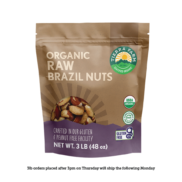 Organic Raw Brazil Nuts | Tierra Farm Certified Organic